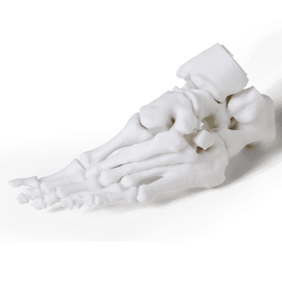 Resin Library and 3D Printing Materials | Formlabs