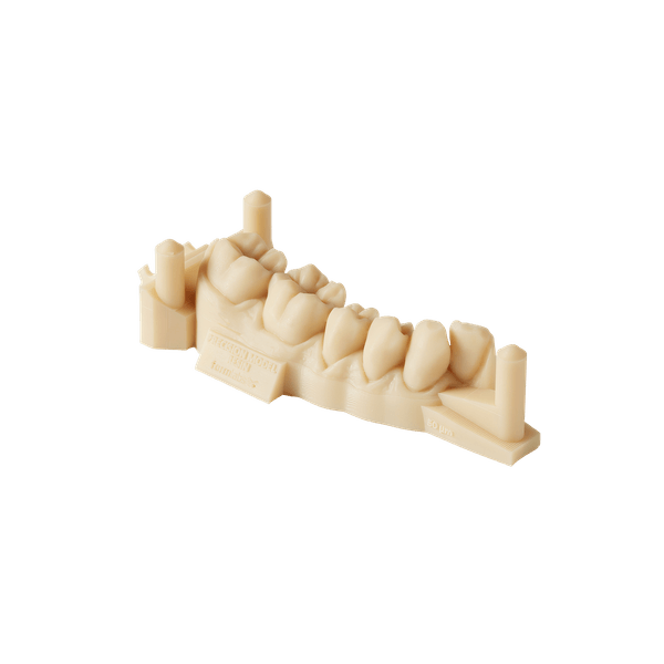 Precision Model Resin | Formlabs